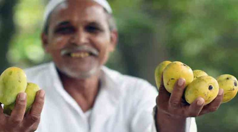 Rataul: इंदिरा से अटल तक यूपी के इस आम की खुशबु के थे मुरीद, पाकिस्तान ...
